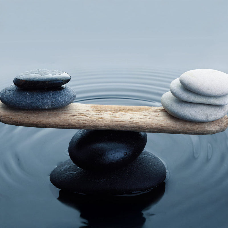 Vykon Customs Canada