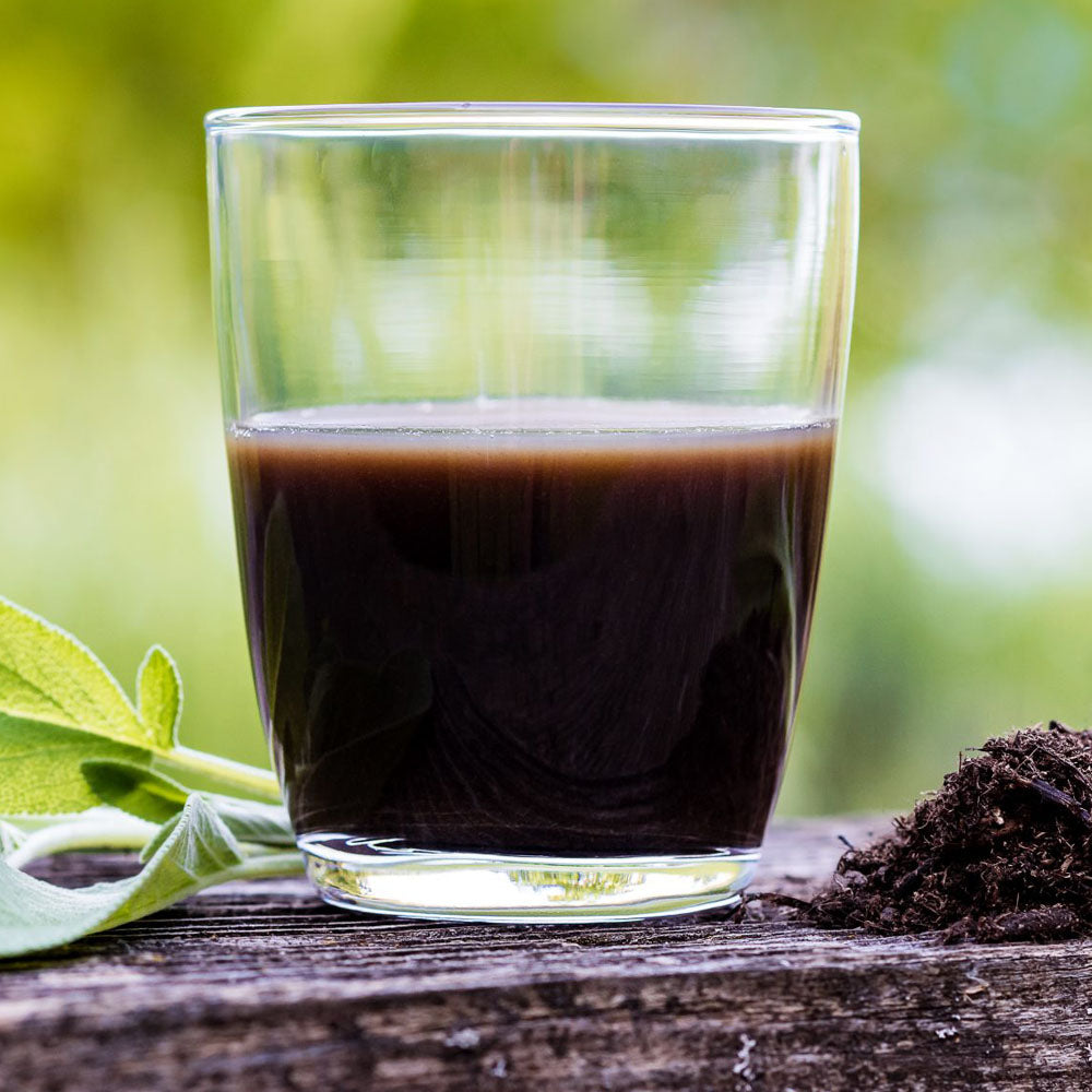 Vykon Customs Canada